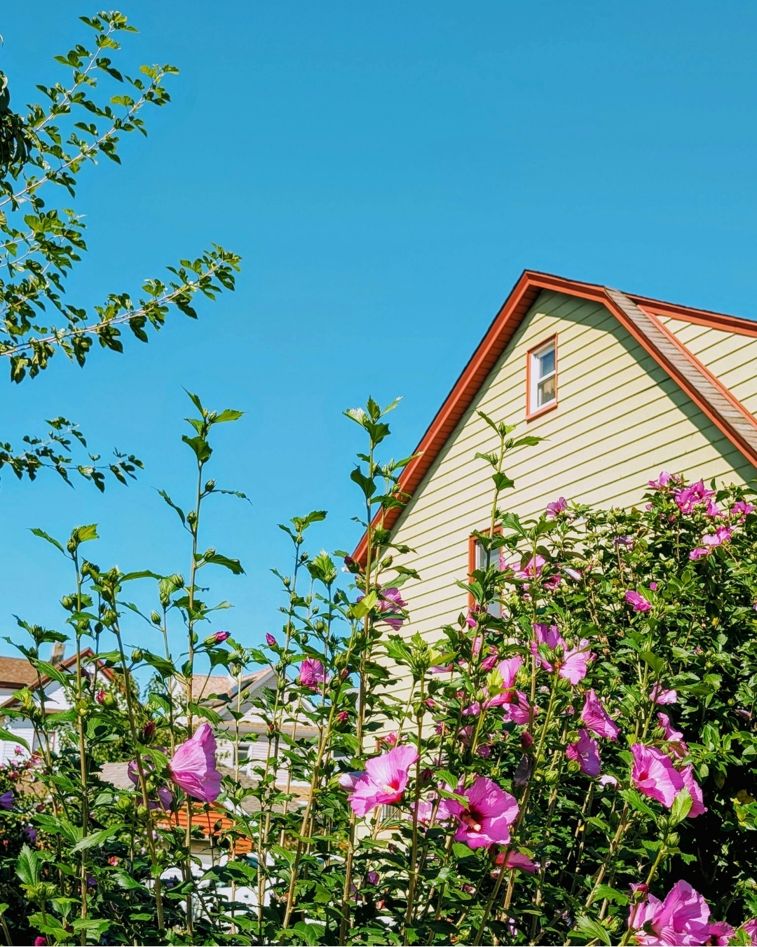 Spring sales season yet to bloom - Momentum Wealth